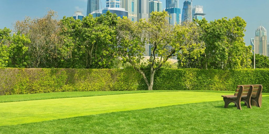 Discovering Dubai Green Spaces: Parks and Gardens – Mister Tickets